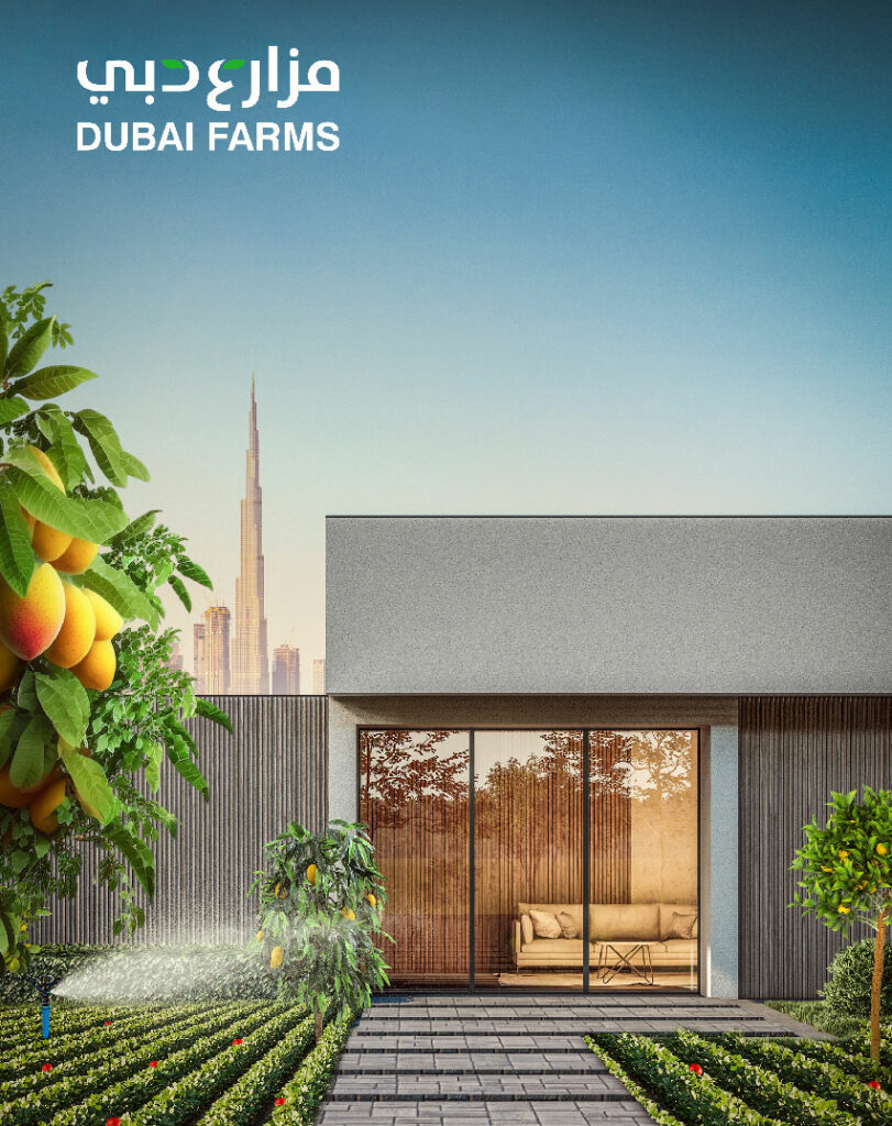 Dubai Municipality unveils Dubai’s Best Homegrown Produce Competition
