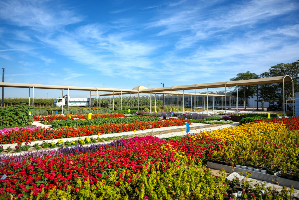 A greener Dubai every day | Dubai Municipality